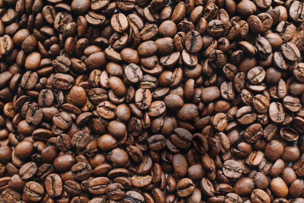 LA RIVA COLLECTION – RIVA SPAIN