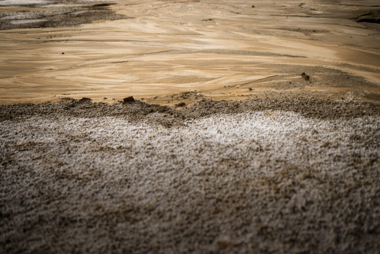 TILEWOOD #2 – RIVA SPAIN